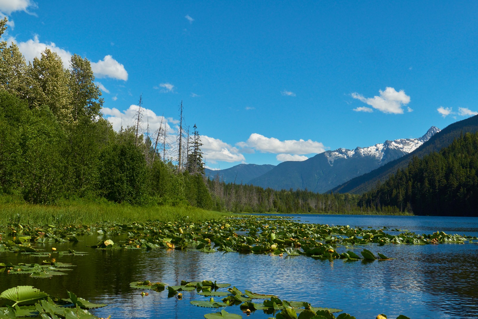 About Us - Southern Stl'atl'imx Health Society